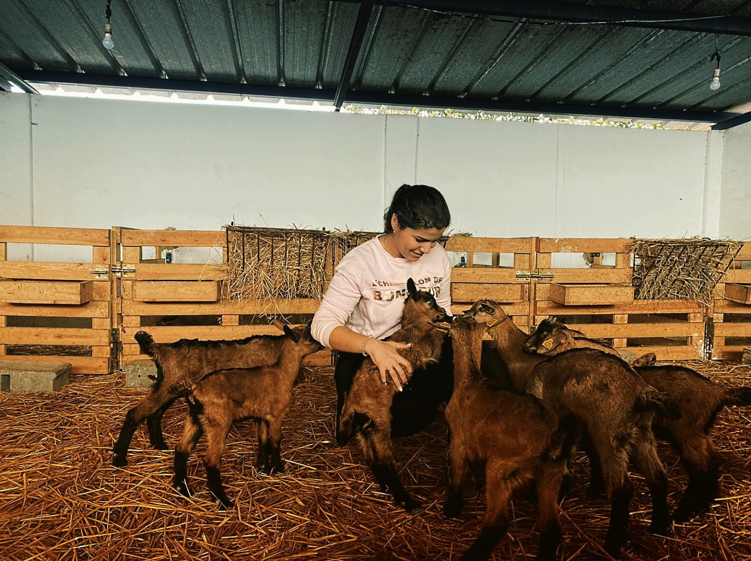 About Us - M.C.I. Santé Animale